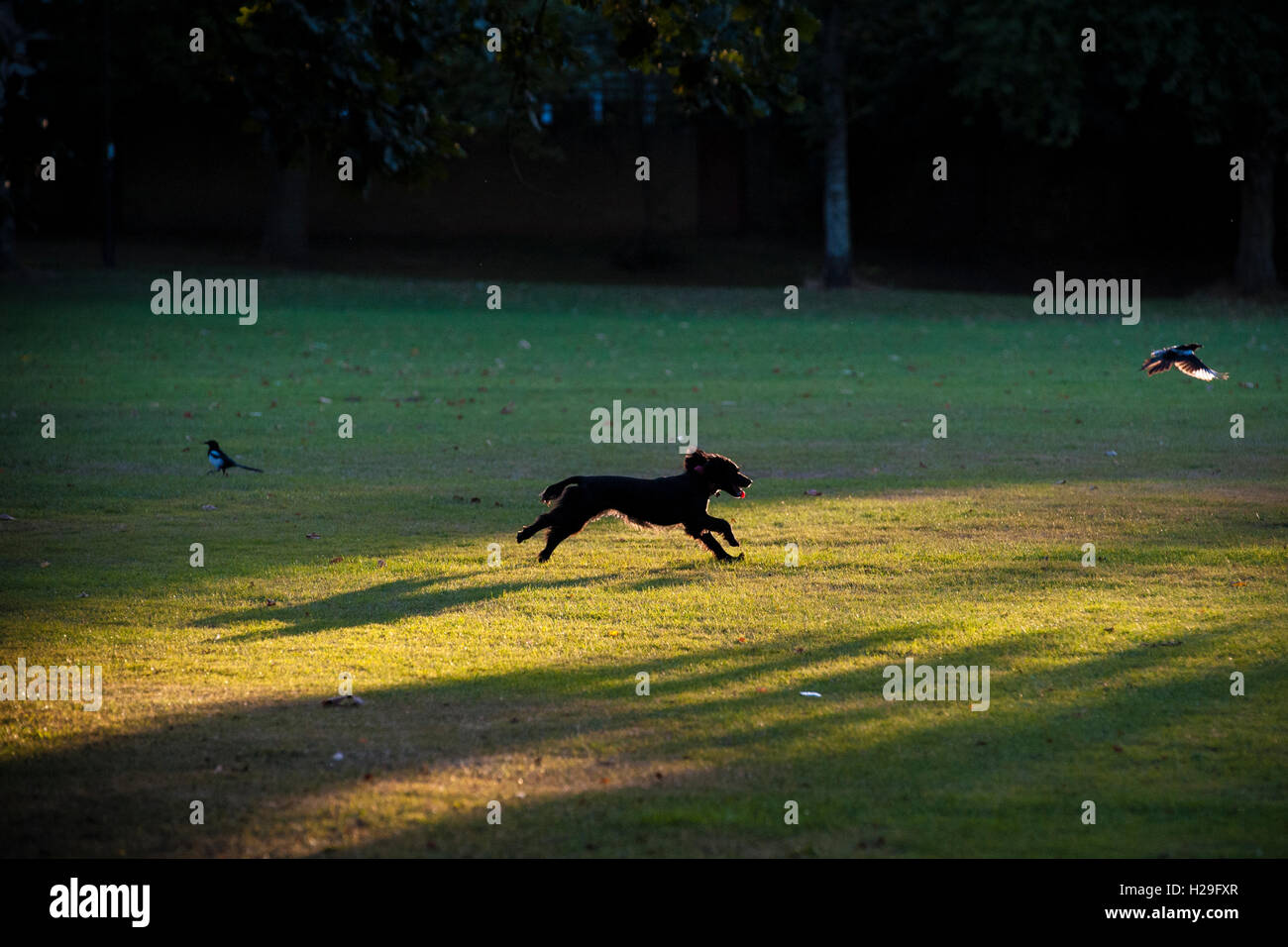 Hug shadow hi-res stock photography and images - Alamy