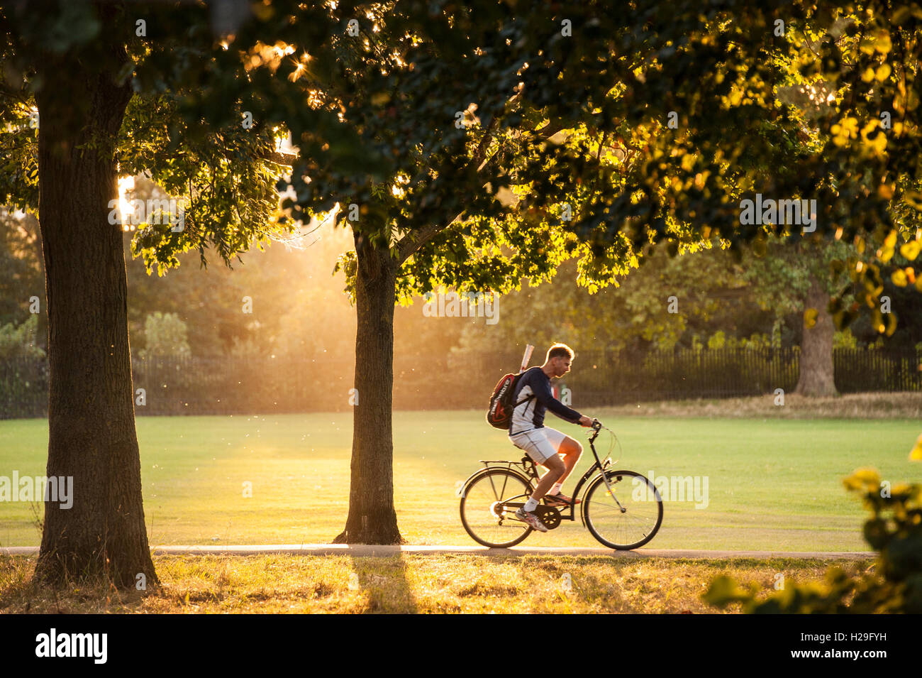 Cycling in the summer sun Stock Photo - Alamy