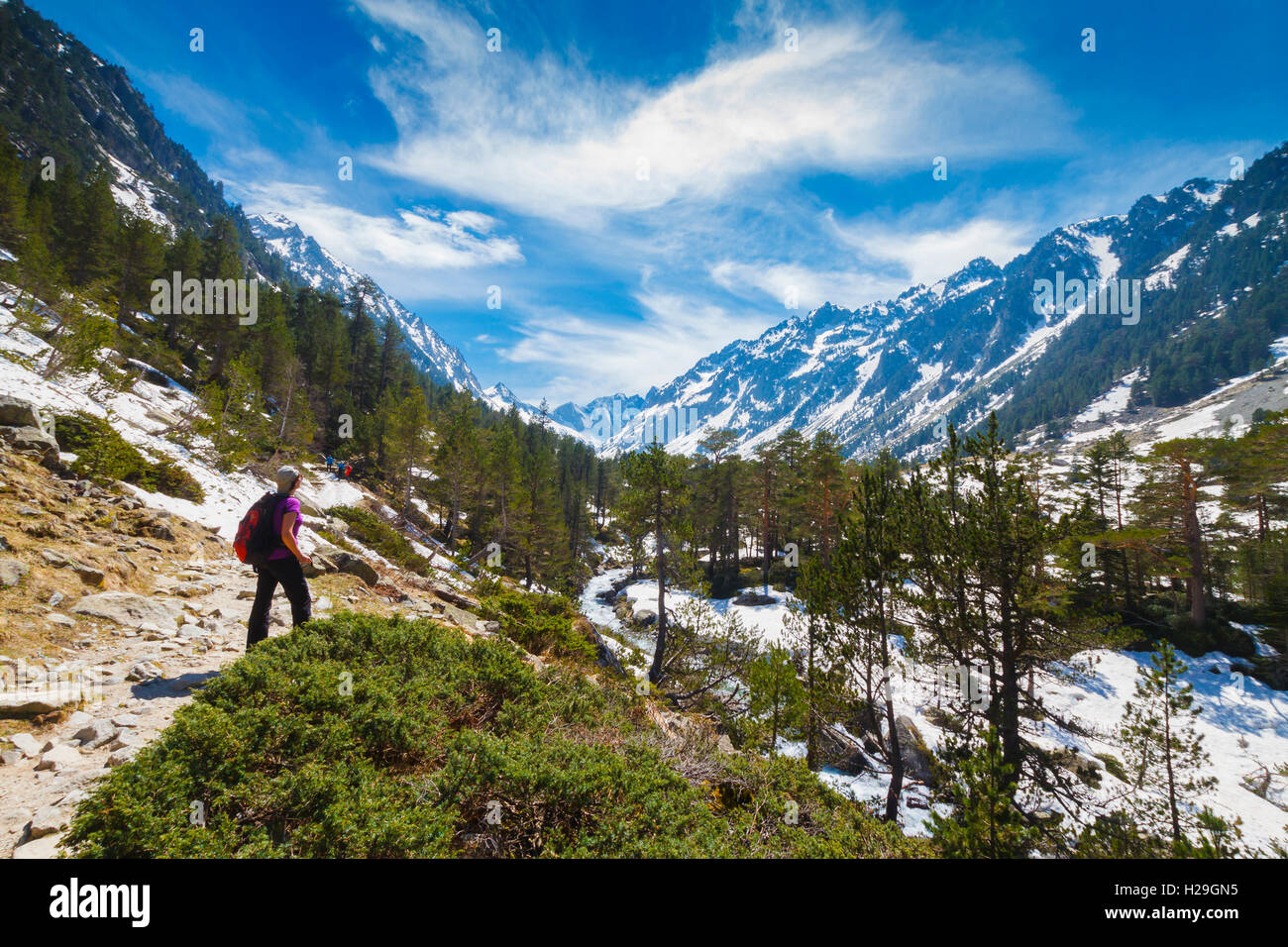 Snow capped trees mountains in hi-res stock photography and images - Alamy