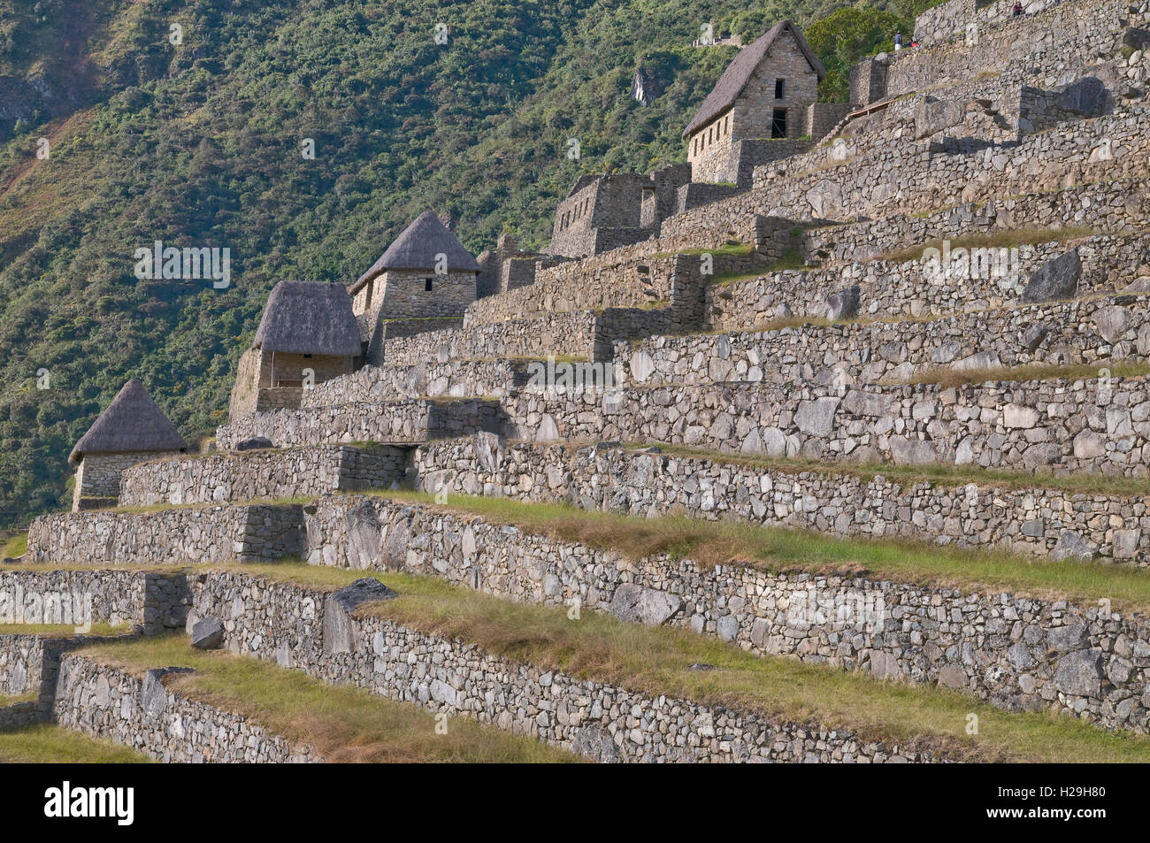 Machu Picchu, Terraces, Stock Image Stock Photo - Alamy