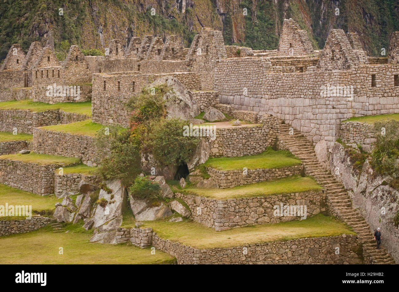 Kallanka inca hi-res stock photography and images - Alamy