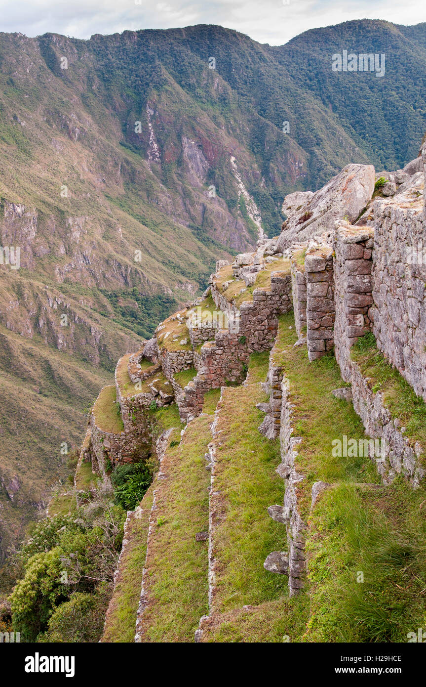 Machu picchu terraces hi-res stock photography and images - Alamy Machu picchu terraces hi-res stock photography and images - Alamy