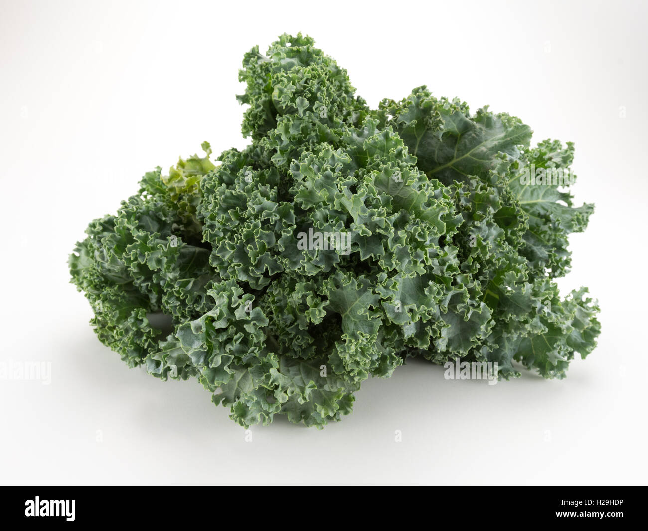 Kale bunch isolated on white Stock Photo - Alamy