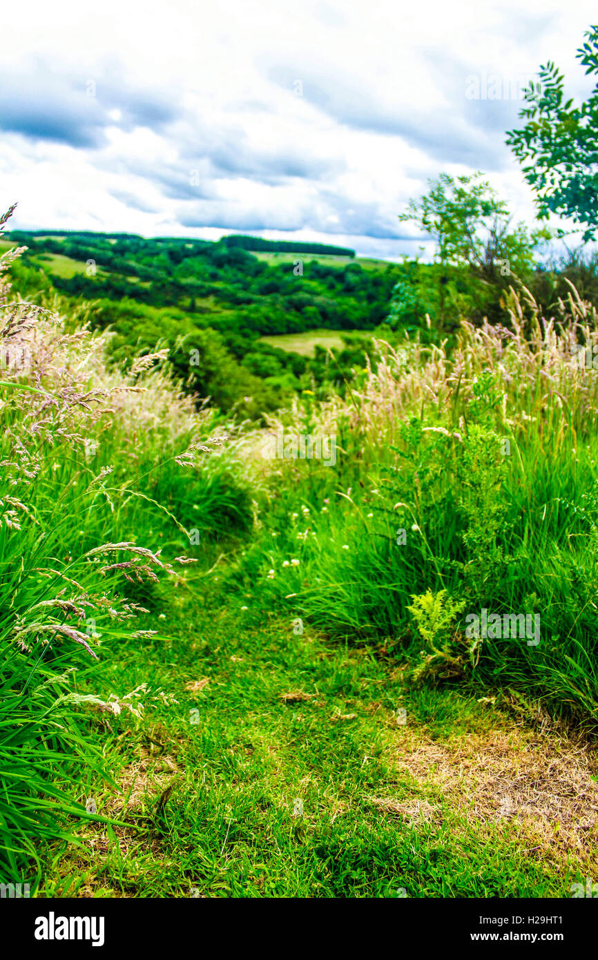 Pathway in the grass Stock Photo - Alamy