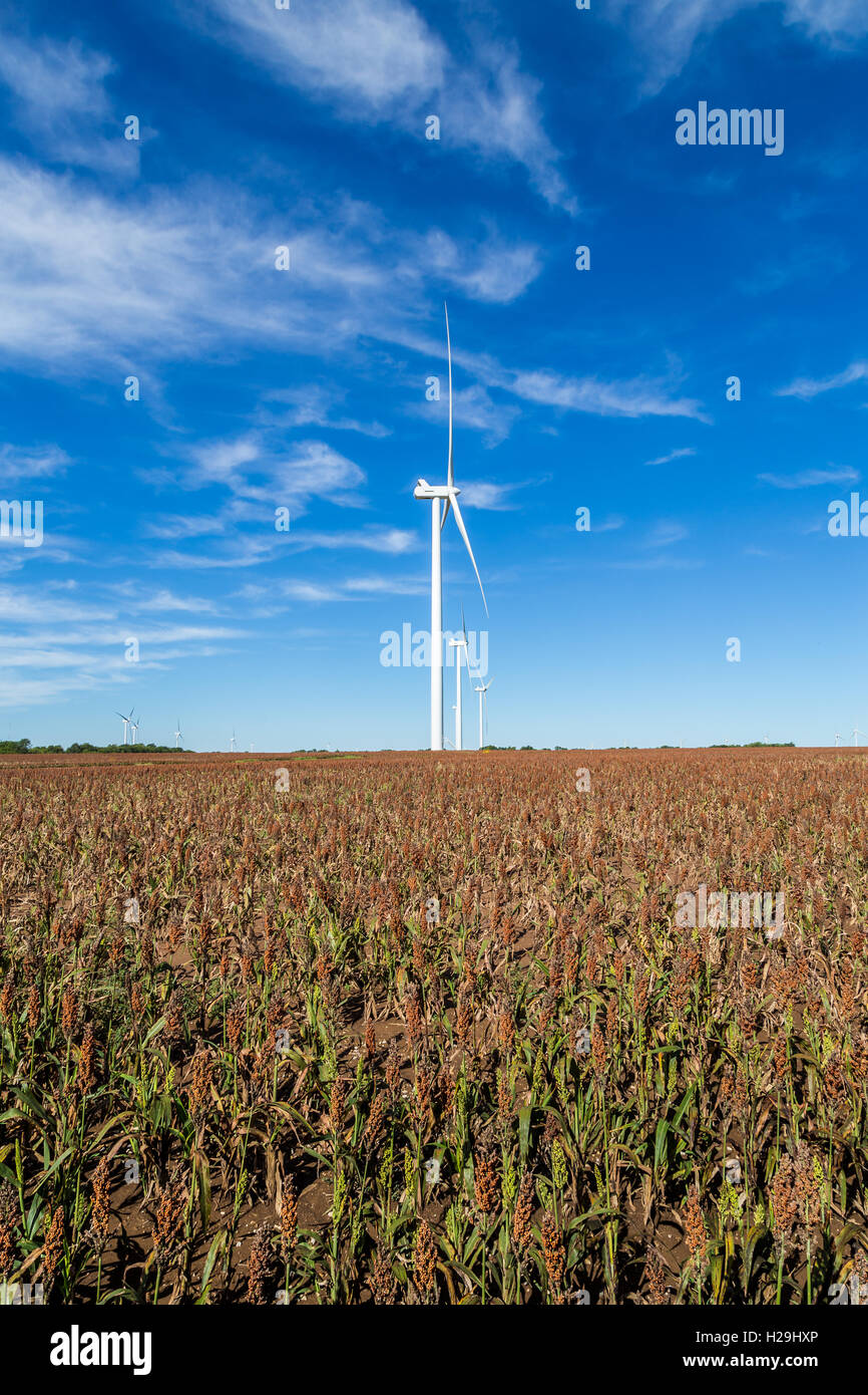 Wind turbines in a Kansas field Stock Photo - Alamy