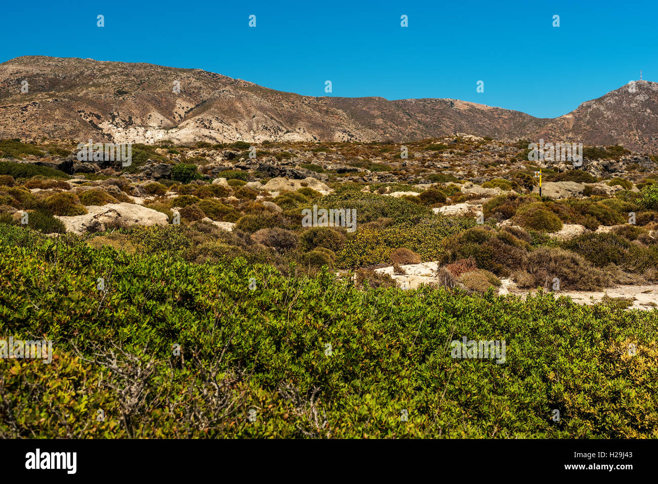 Crete, Greece: landscape in Elafonisi Stock Photo - Alamy