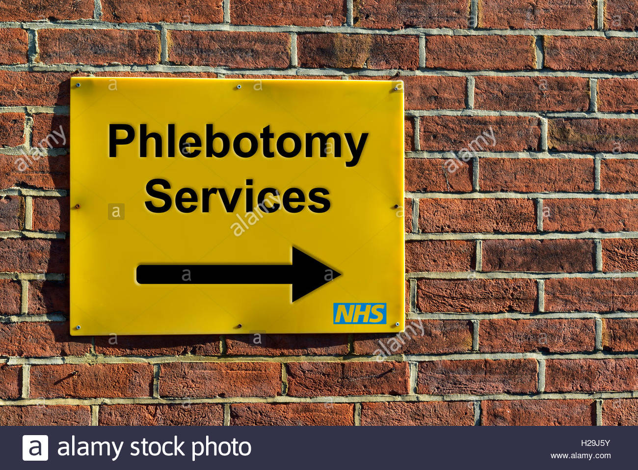 Phlebotomy High Resolution Stock Photography and Images - Alamy