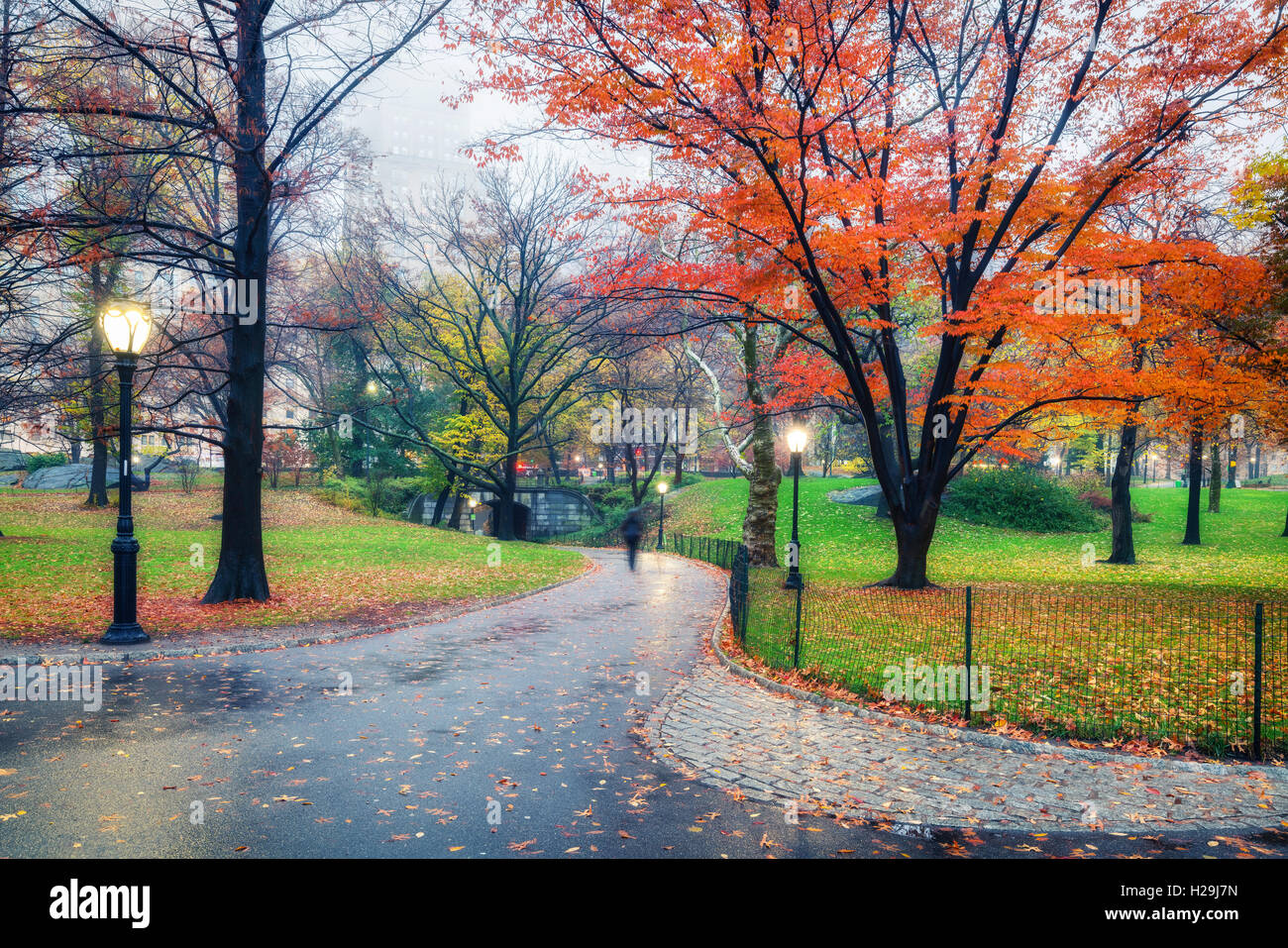 NY Central park at rainy day Stock Photo - Alamy