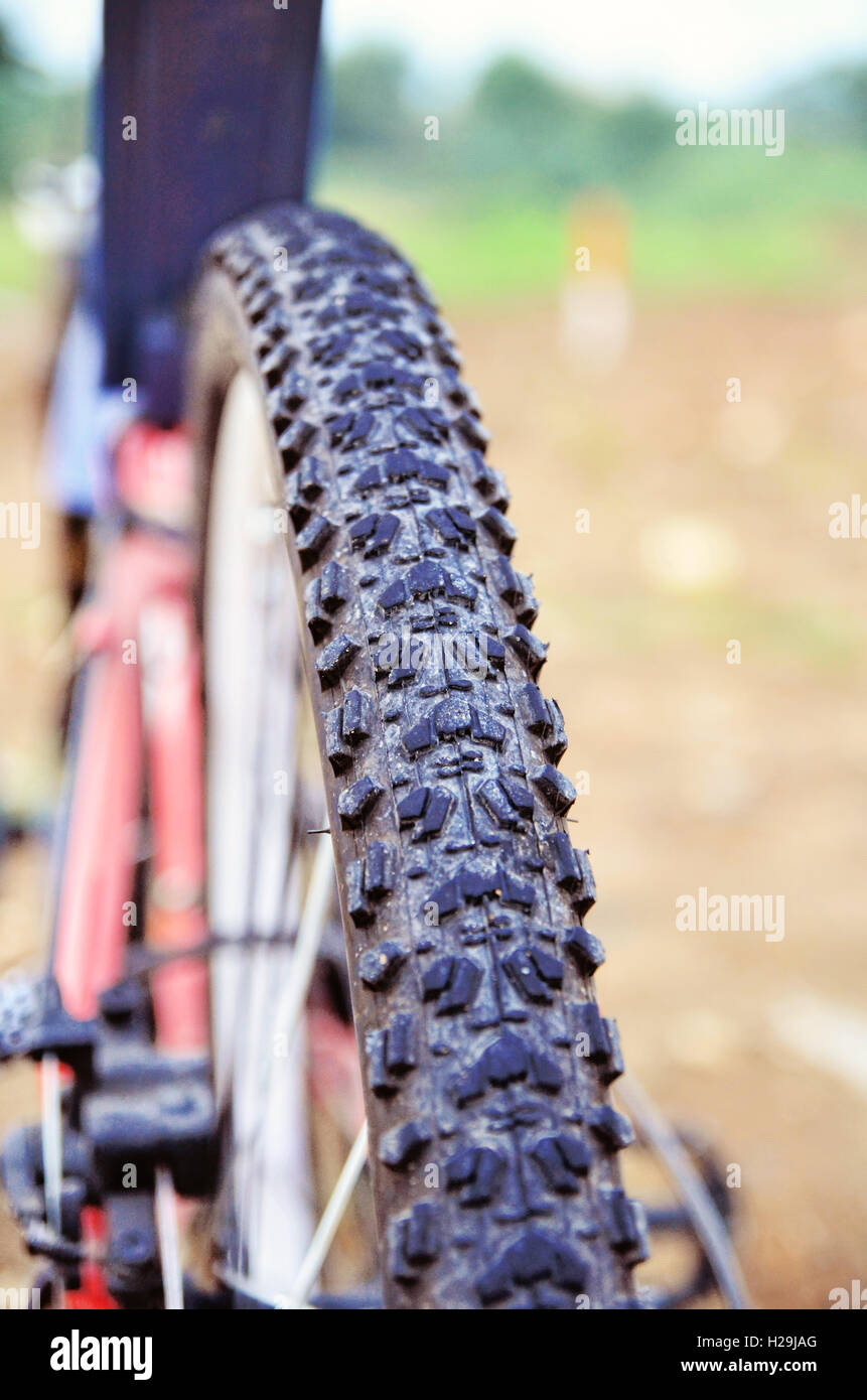 Bicycle wheel photograph from rear Stock Photo - Alamy