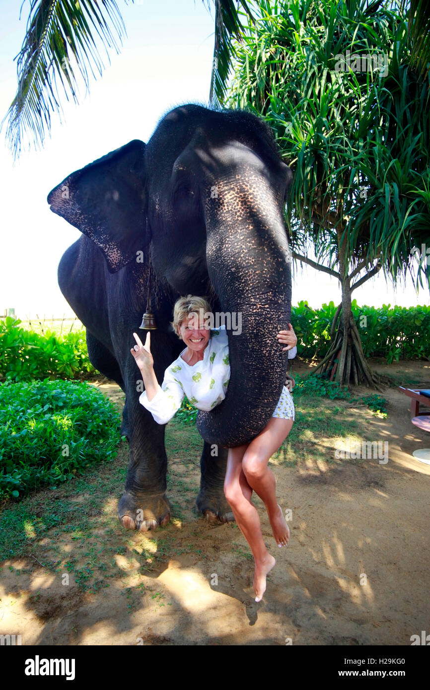 Cheerful woman with an elephant. Sri Lanka Stock Photo - Alamy