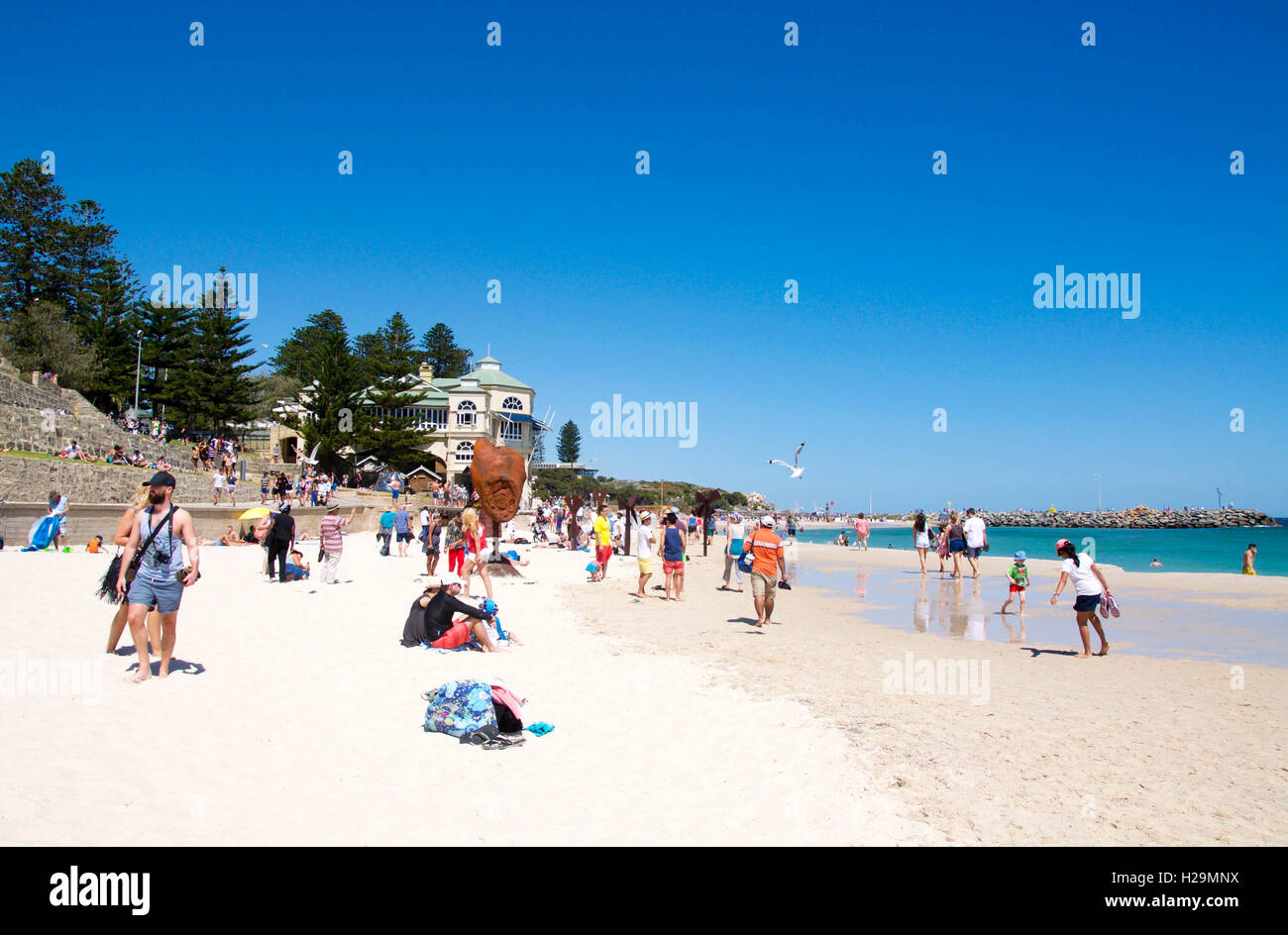 Indiana tea house cottesloe beach hi-res stock photography and images ...