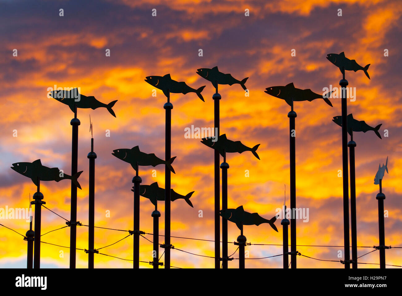 On Southport, Merseyside resort seafront at sunset, fish-shaped beach ...