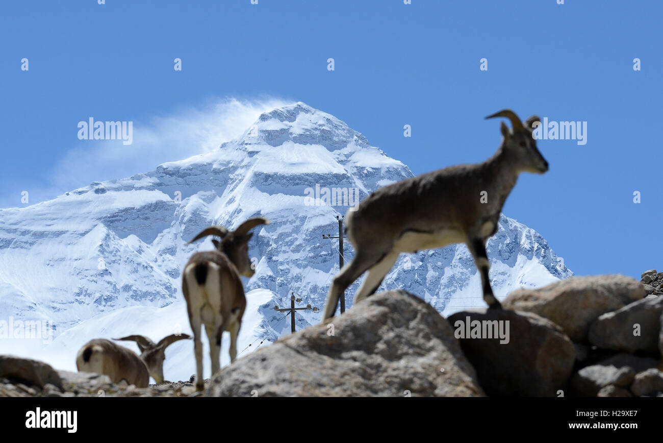 43 foot high hi-res stock photography and images - Alamy