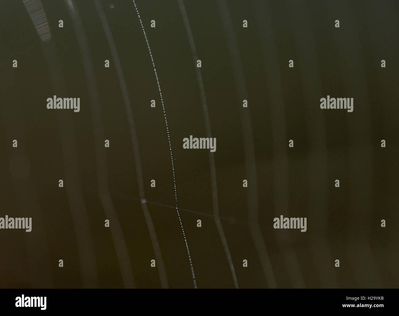 Cologne, Germany. 26th Sep, 2016. Small drops of water line up on a ...