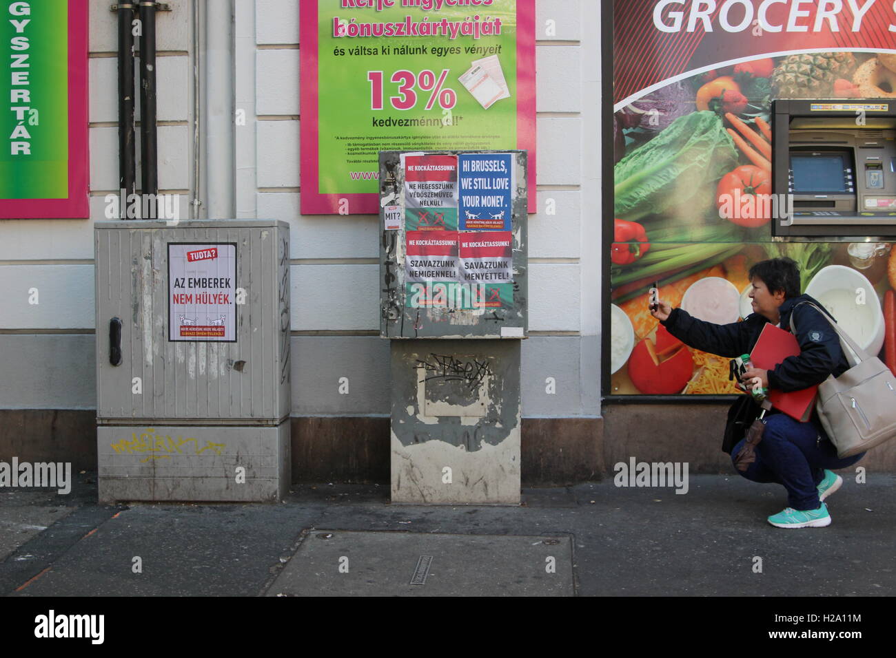 The two tailed dog party hi-res stock photography and images - Alamy