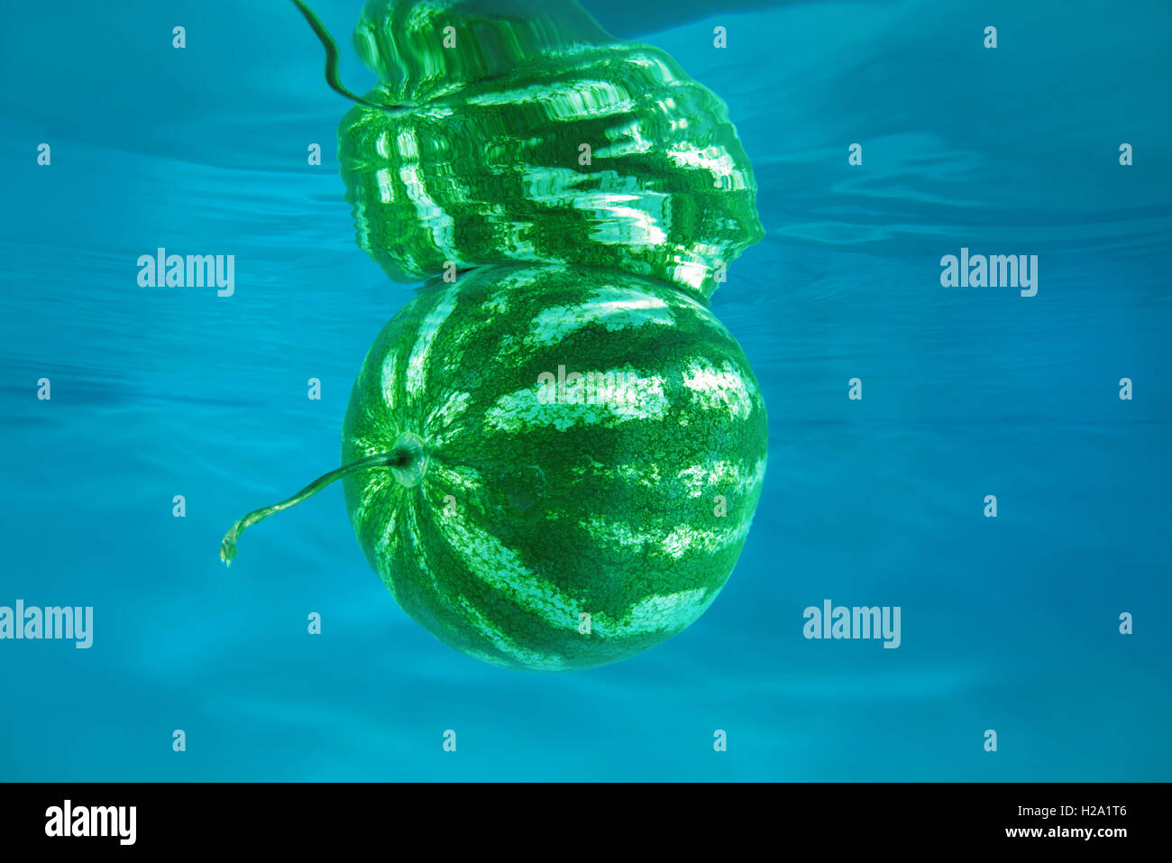 Odessa, Ukraine. 18th Sep, 2016. watermelon splashing in blue water ...