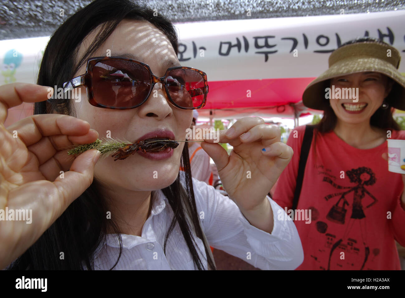 Jeollabuk do hi-res stock photography and images - Alamy