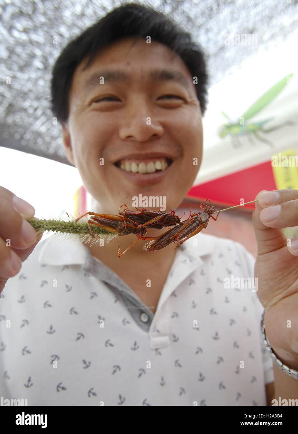 September 27, 2016 - Wanjugun, Jeollabuk-Do Province, South Korea - A ...