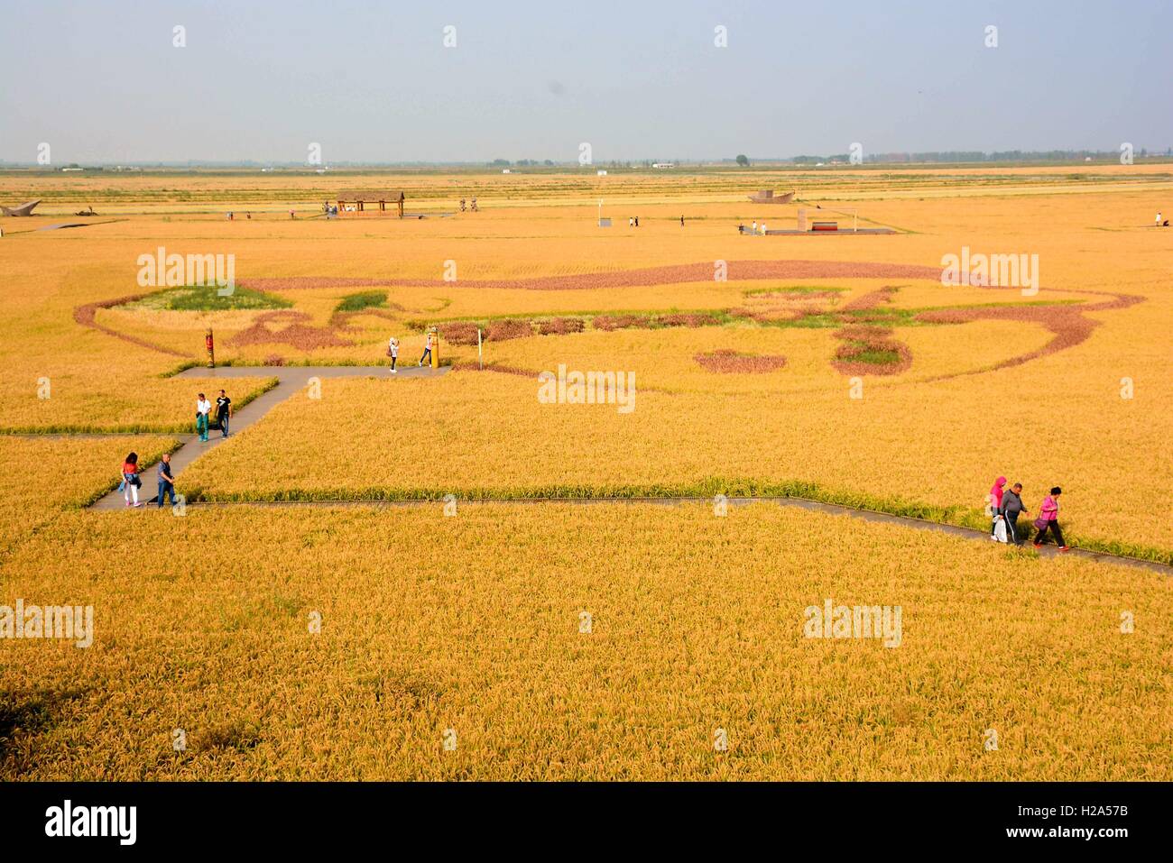 Panjin, Panjin, China. 27th Sep, 2016. Panjin, CHINA-September 26 2016 ...