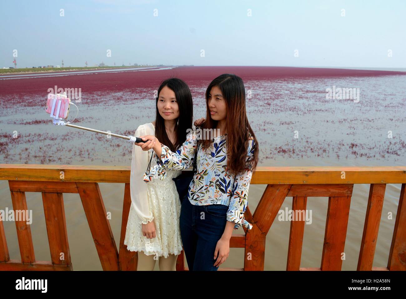 China panjin red beach hi-res stock photography and images - Alamy