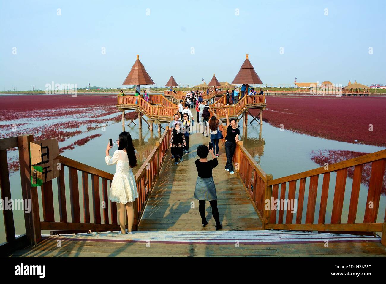 Panjin, Panjin, China. 26th Sep, 2016. Visitors flock to the red beach ...