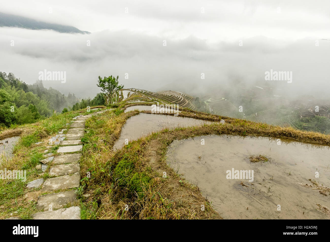 Ancient chinese irrigation hi-res stock photography and images - Alamy