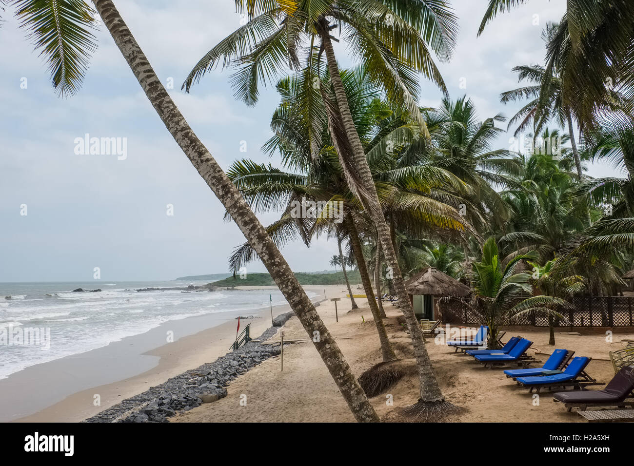 Deserted beach with palm trees and empty beach chairs at Anomabo Beach ...