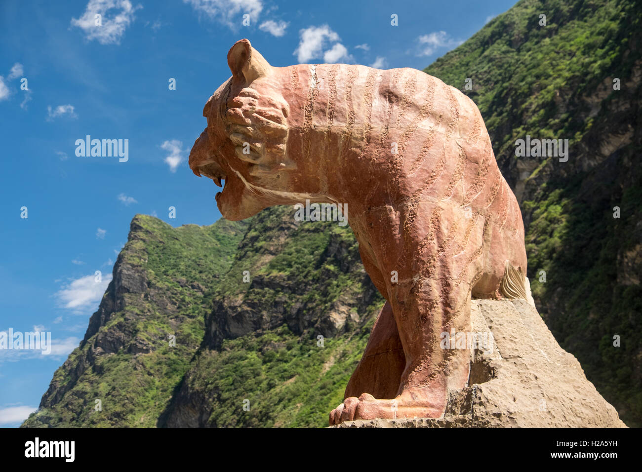 Tiger jump stone hi-res stock photography and images - Alamy