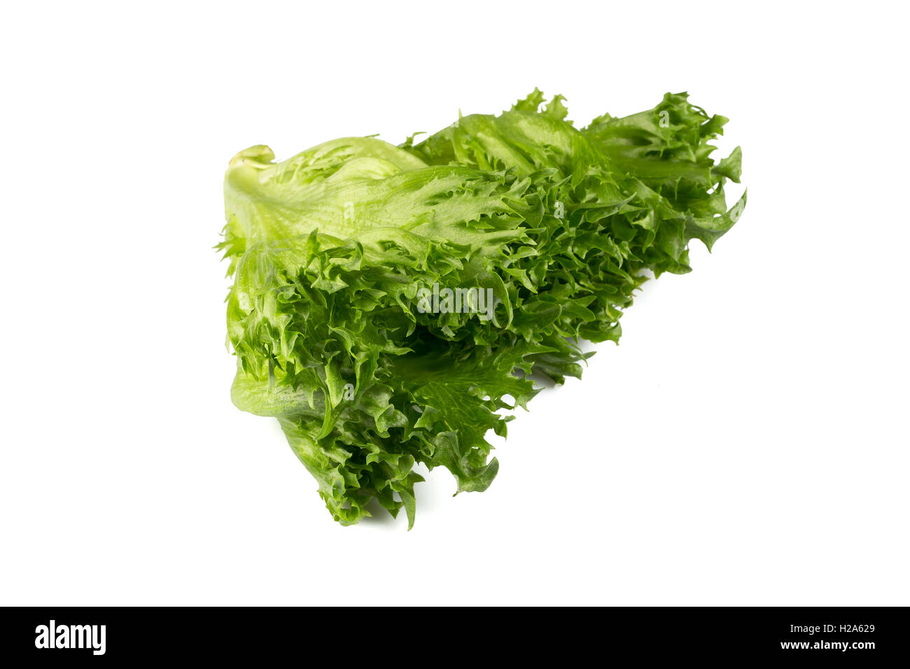 Green fresh lettuce salad texture close up shot on white background ...