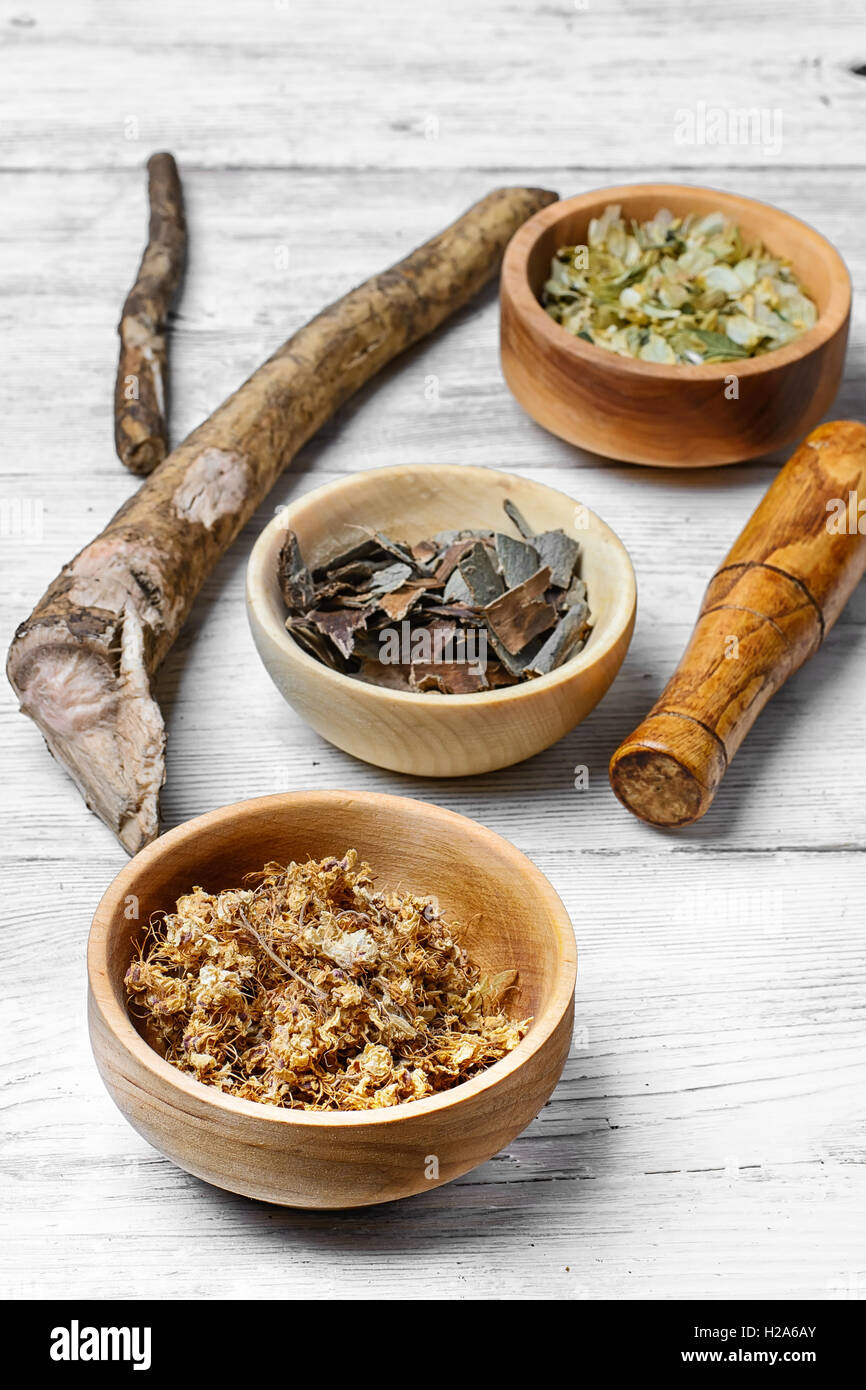Medicinal plants,herbs in the wooden bowl and inula root Stock Photo ...