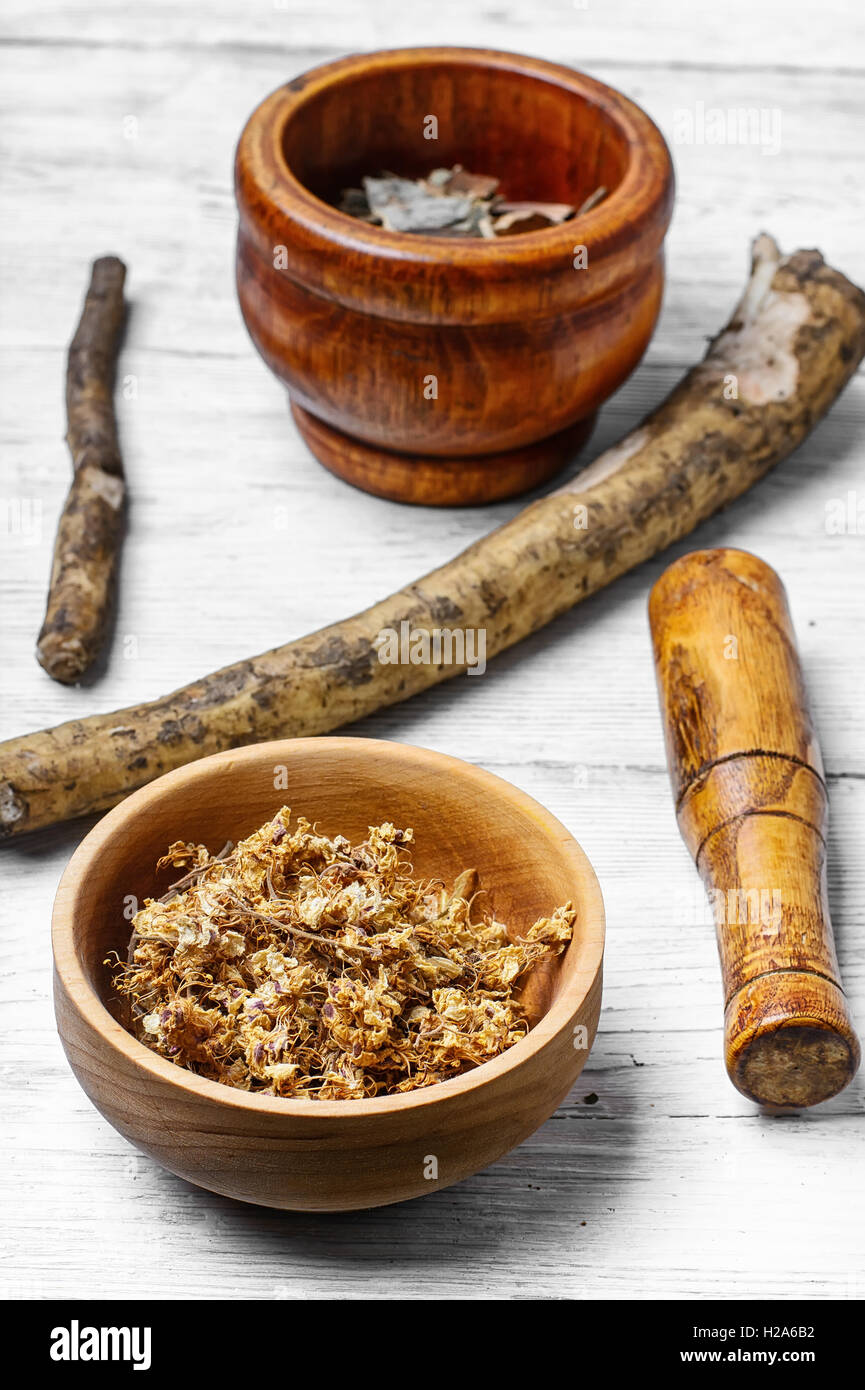 Medicinal plants,herbs in the wooden bowl and inula root Stock Photo ...