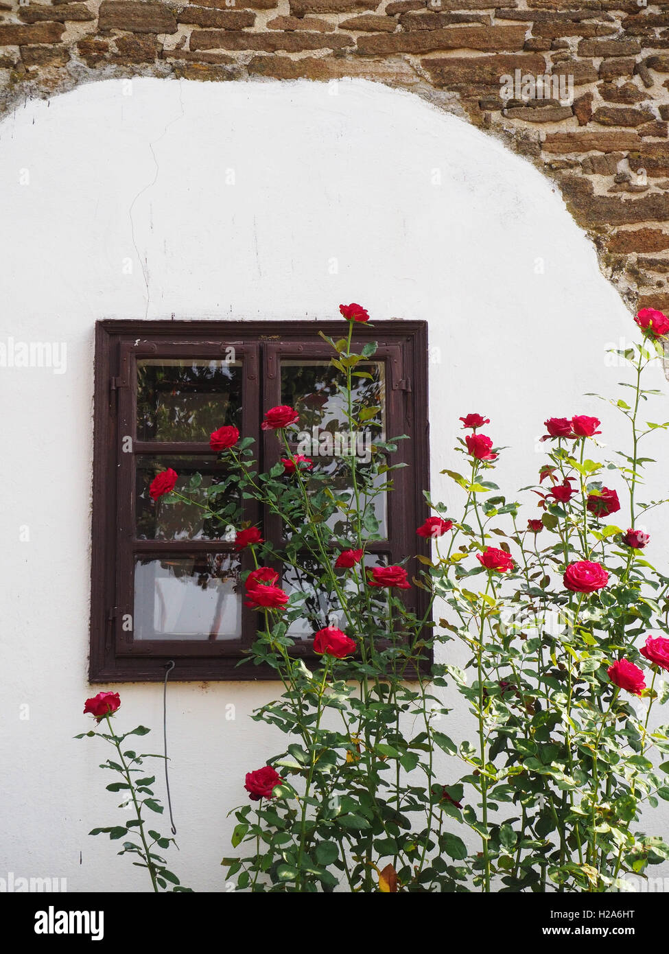 red roses in front of a window and stone wall Stock Photo - Alamy