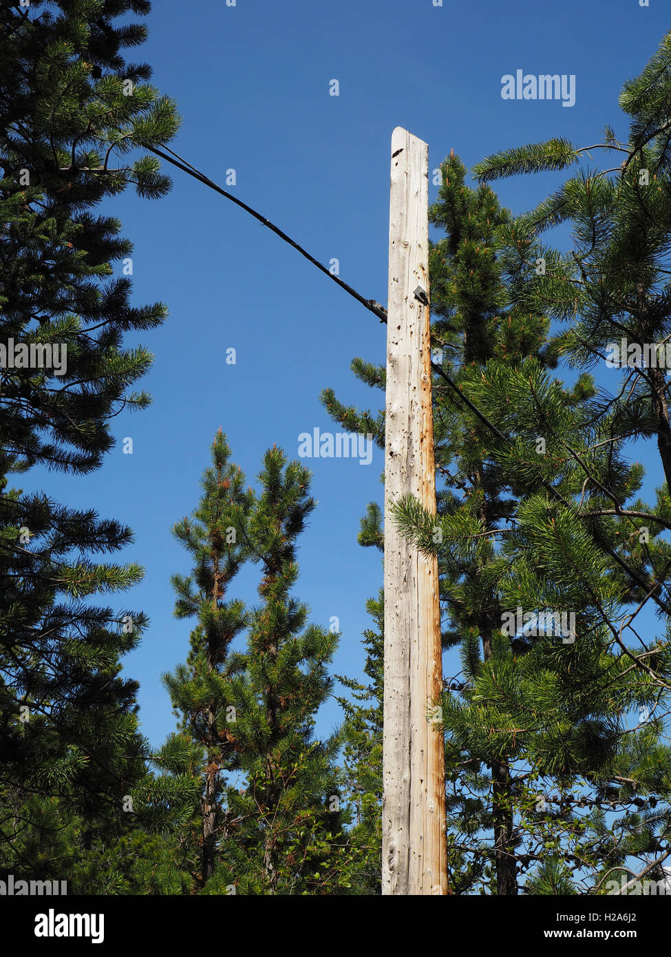 Telephone pole line in hi-res stock photography and images - Alamy