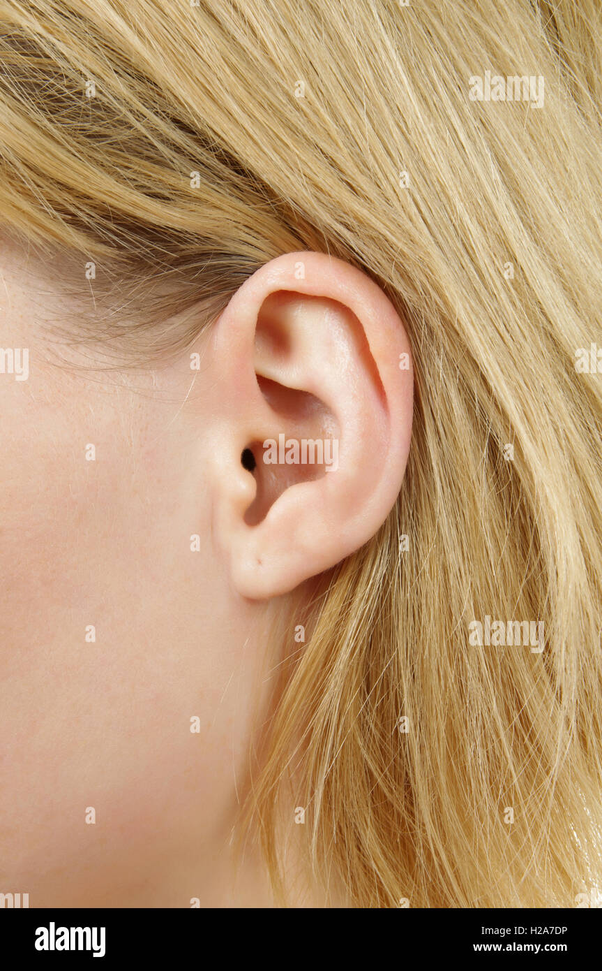 blonde female ear closeup Stock Photo - Alamy
