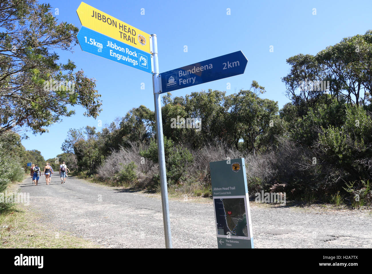 Jibbon head sydney hi-res stock photography and images - Alamy