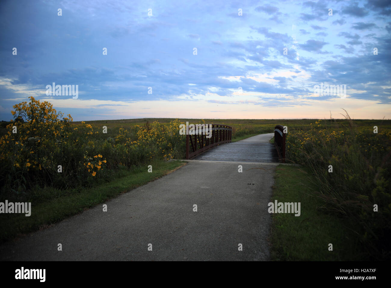 Springbrook Prairie Forest Preserve Stock Photo - Alamy