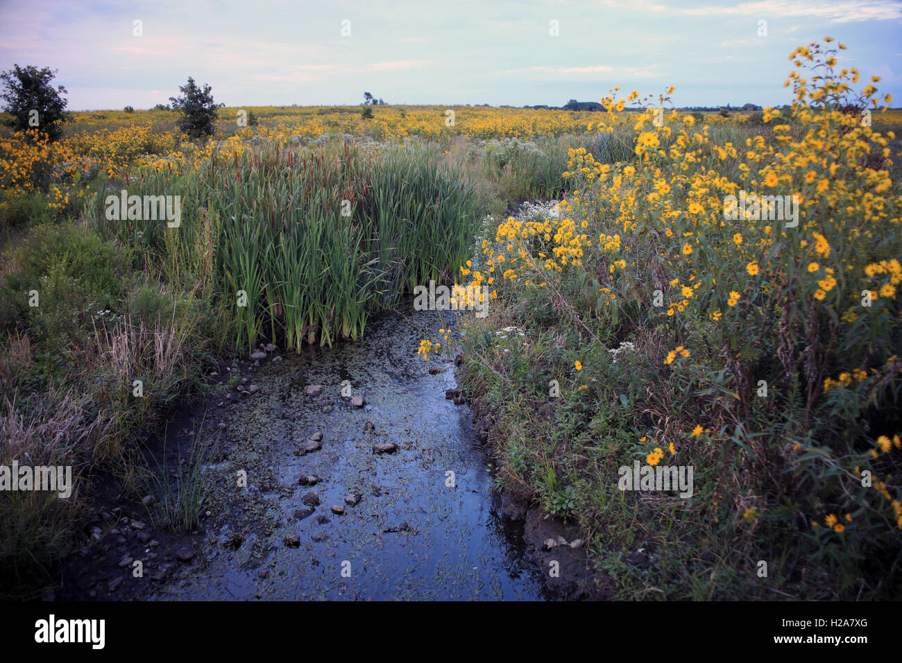 Prairie trails hi-res stock photography and images - Alamy