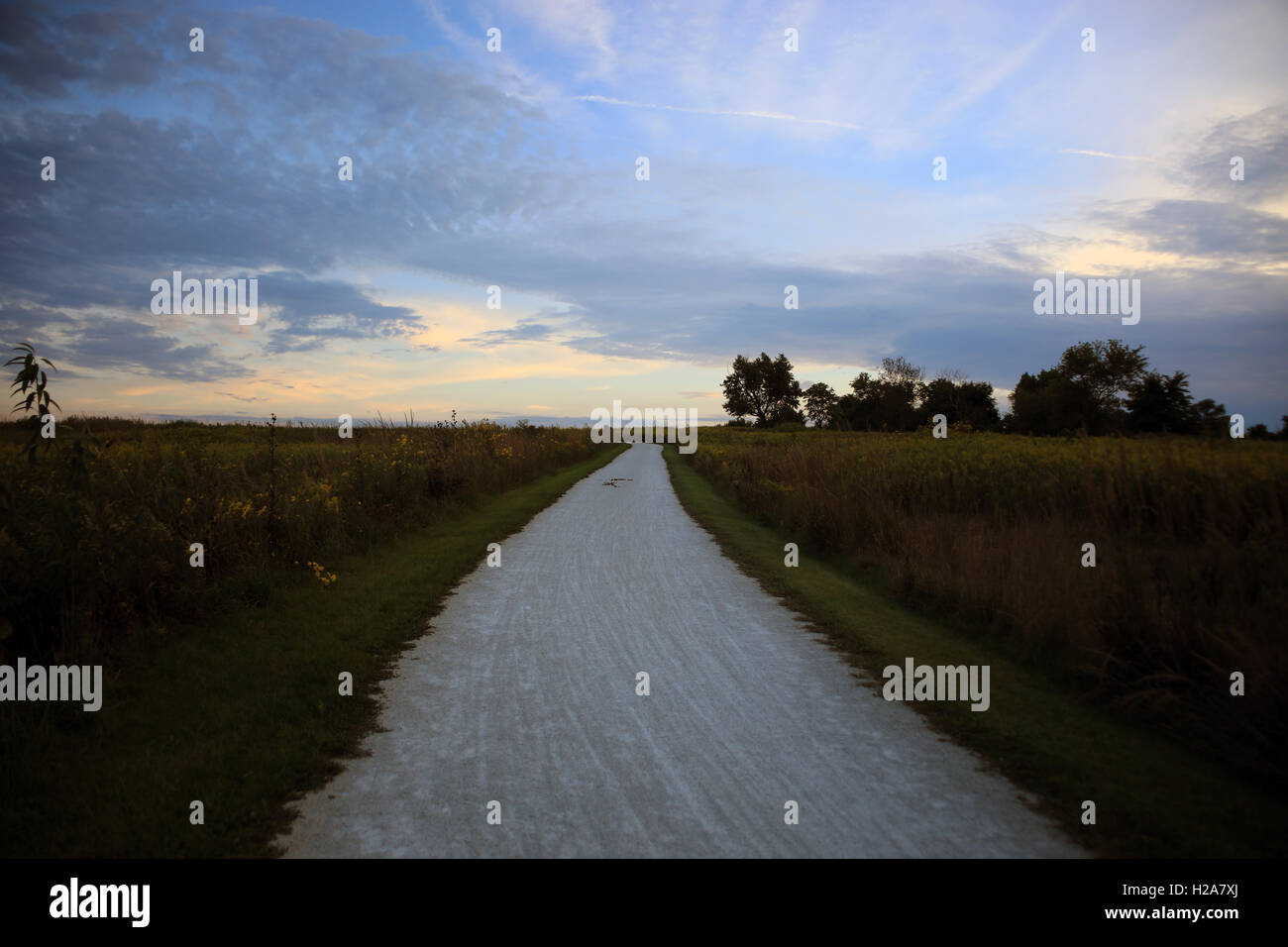 Springbrook Prairie Forest Preserve Stock Photo - Alamy