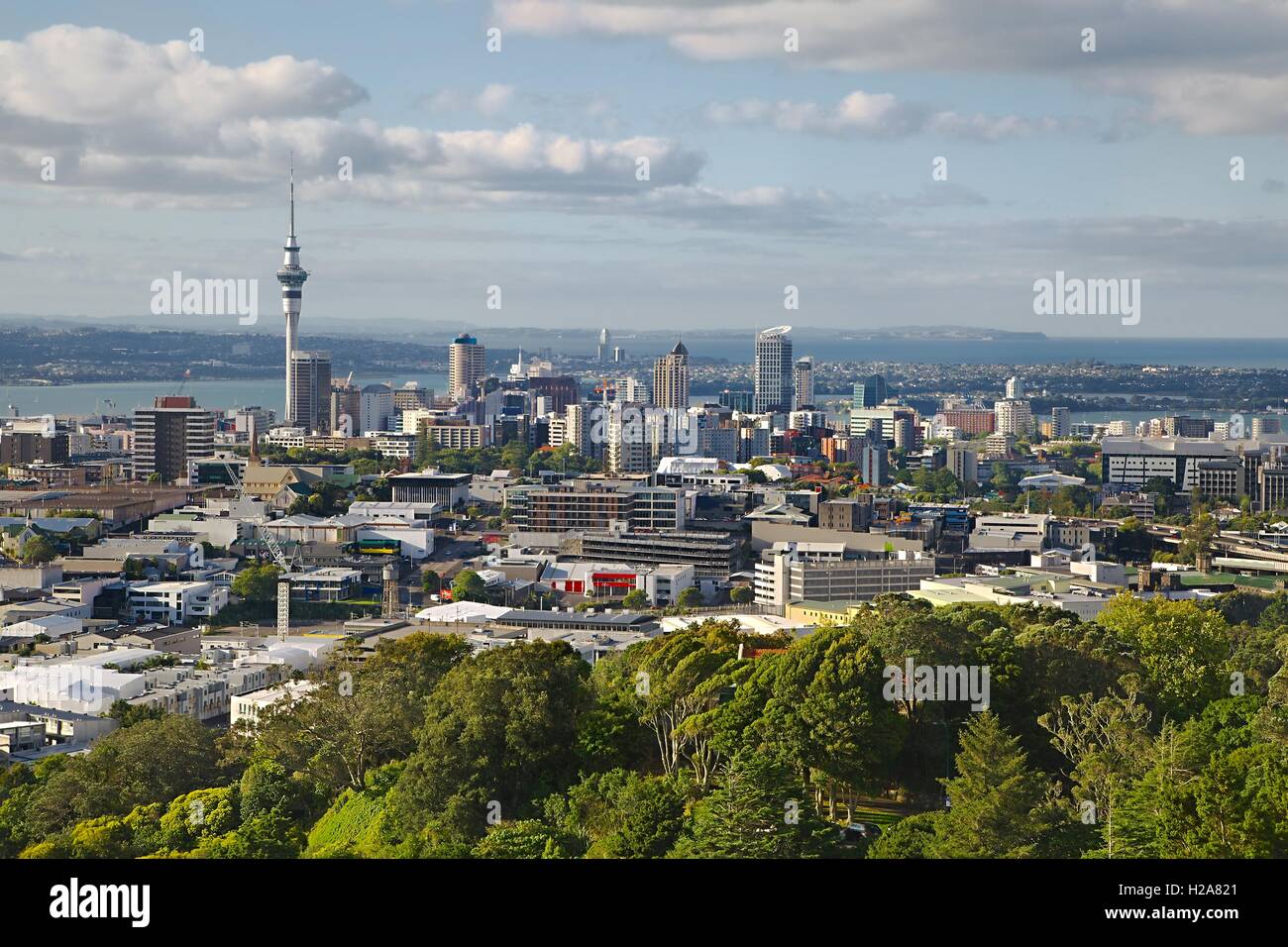 View of Auckland Stock Photo - Alamy