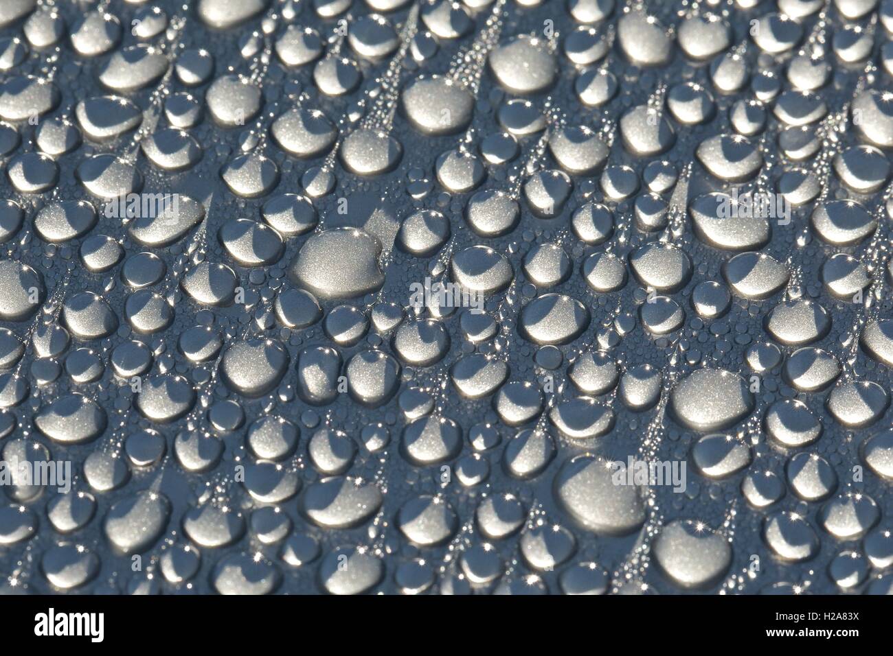 Shiny Water Droplets Stock Photo - Alamy