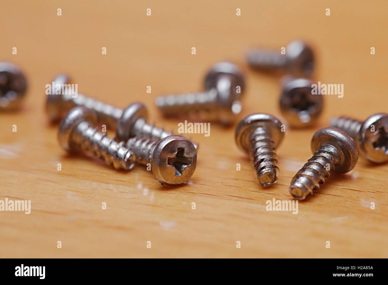 Wood shop screws on a table hi-res stock photography and images - Alamy