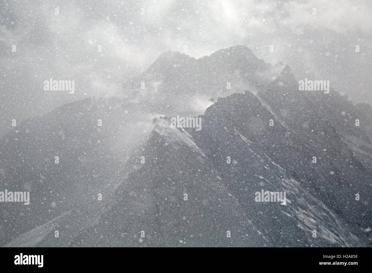 Heavy snowfall in the ALps Stock Photo - Alamy
