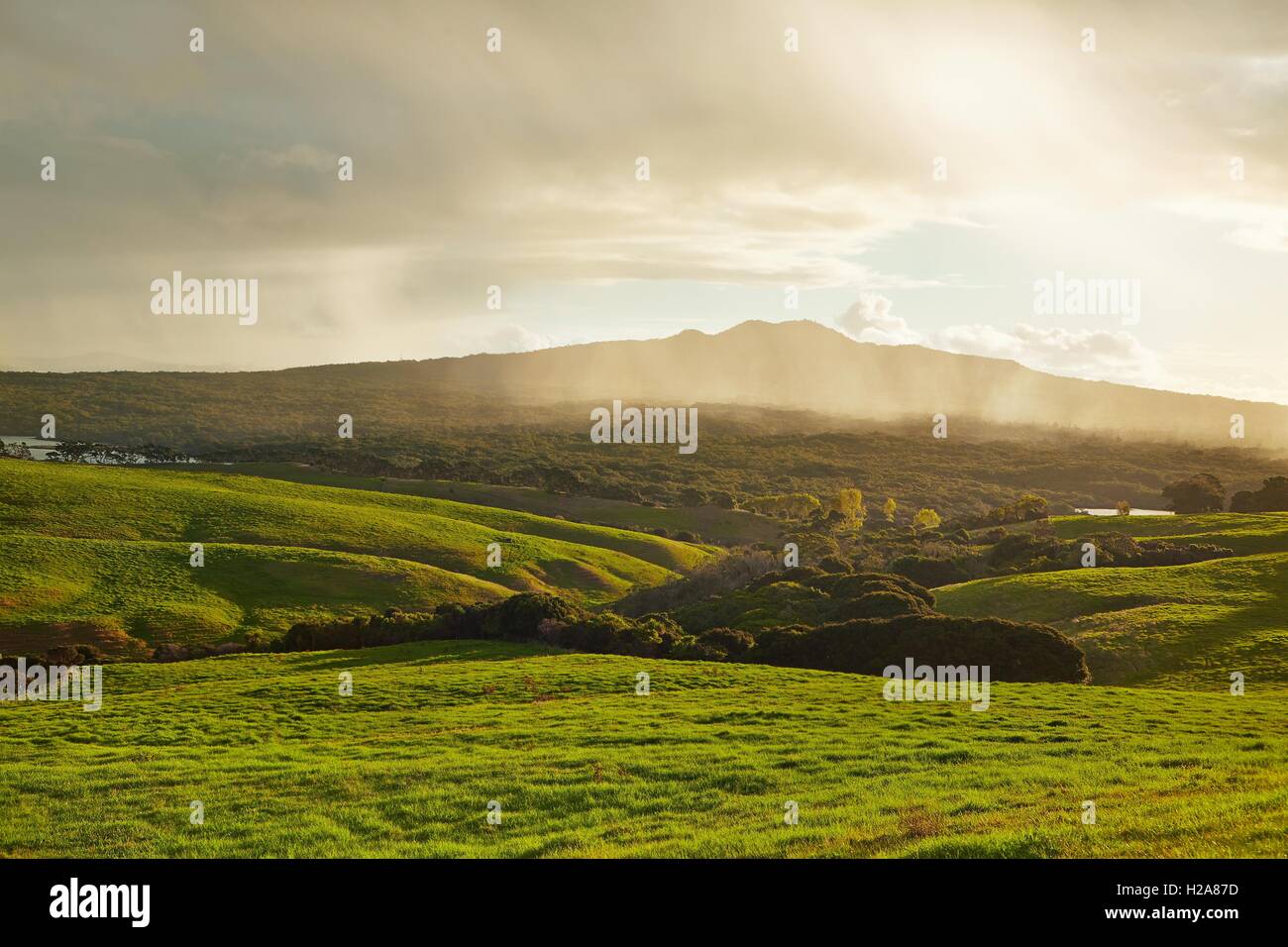 Green landscape with coming rain Stock Photo - Alamy