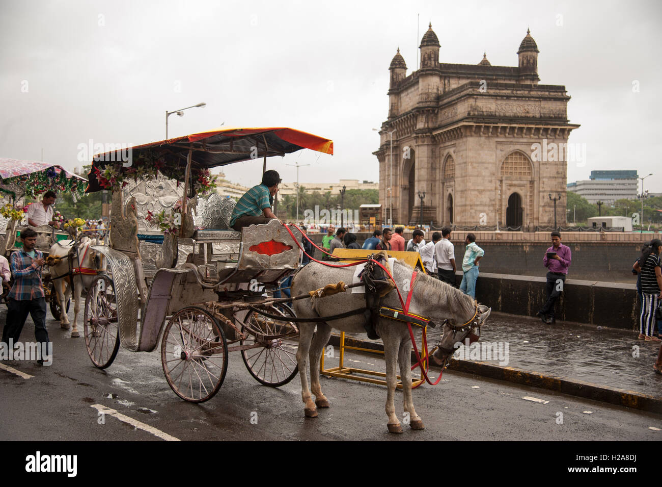 Horse cart ride at Gateway of India Bombay Mumbai Maharashtra India ...