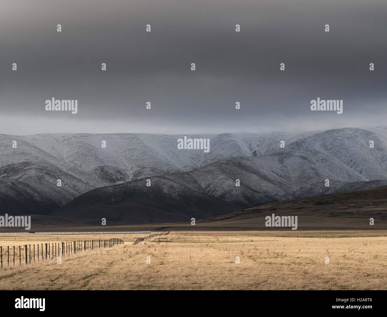 central otago landscape Hawkdun Range shades of brown and cream rolling folds level stubble ...
