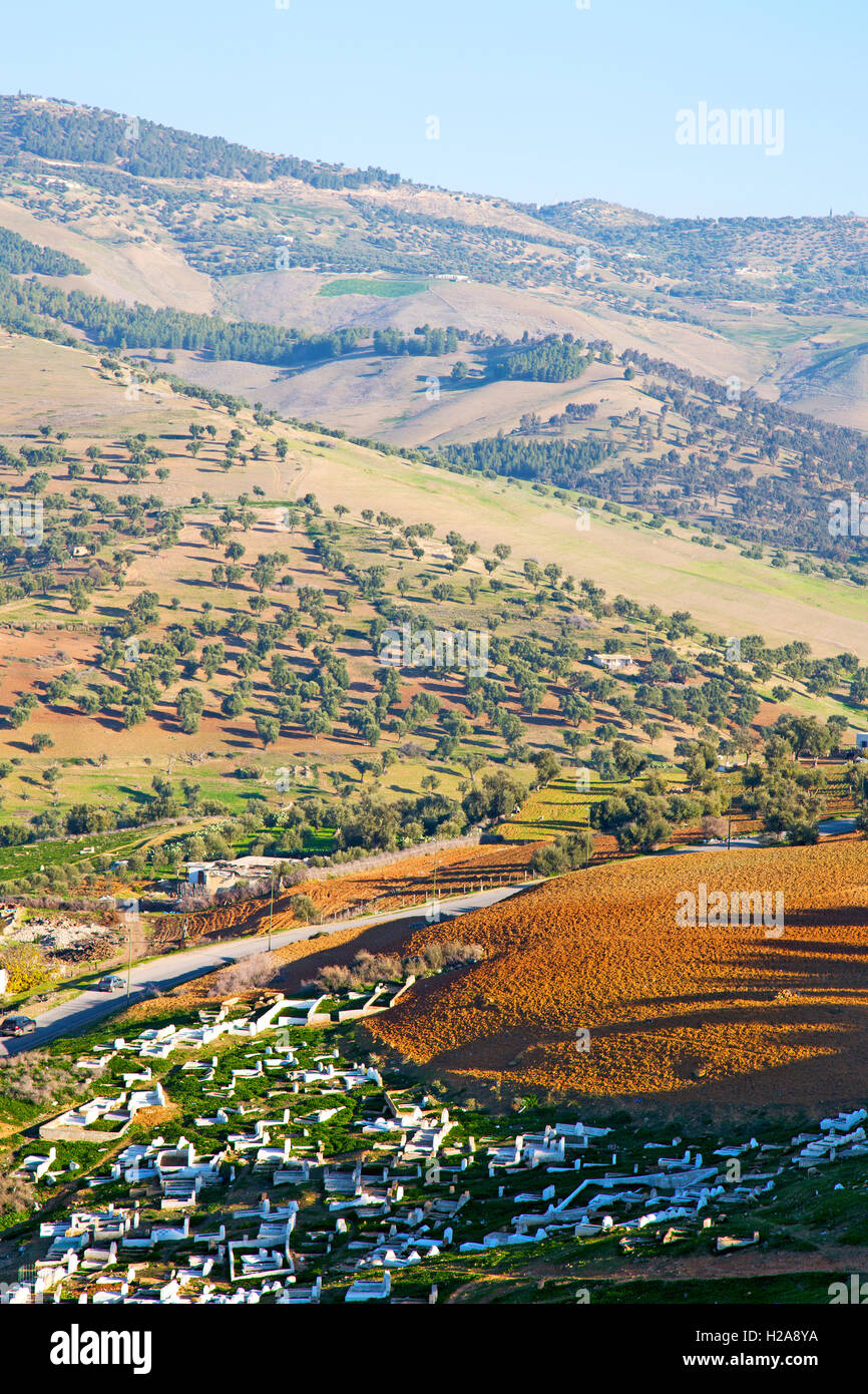 from high in the village morocco africa field and constructions Stock ...
