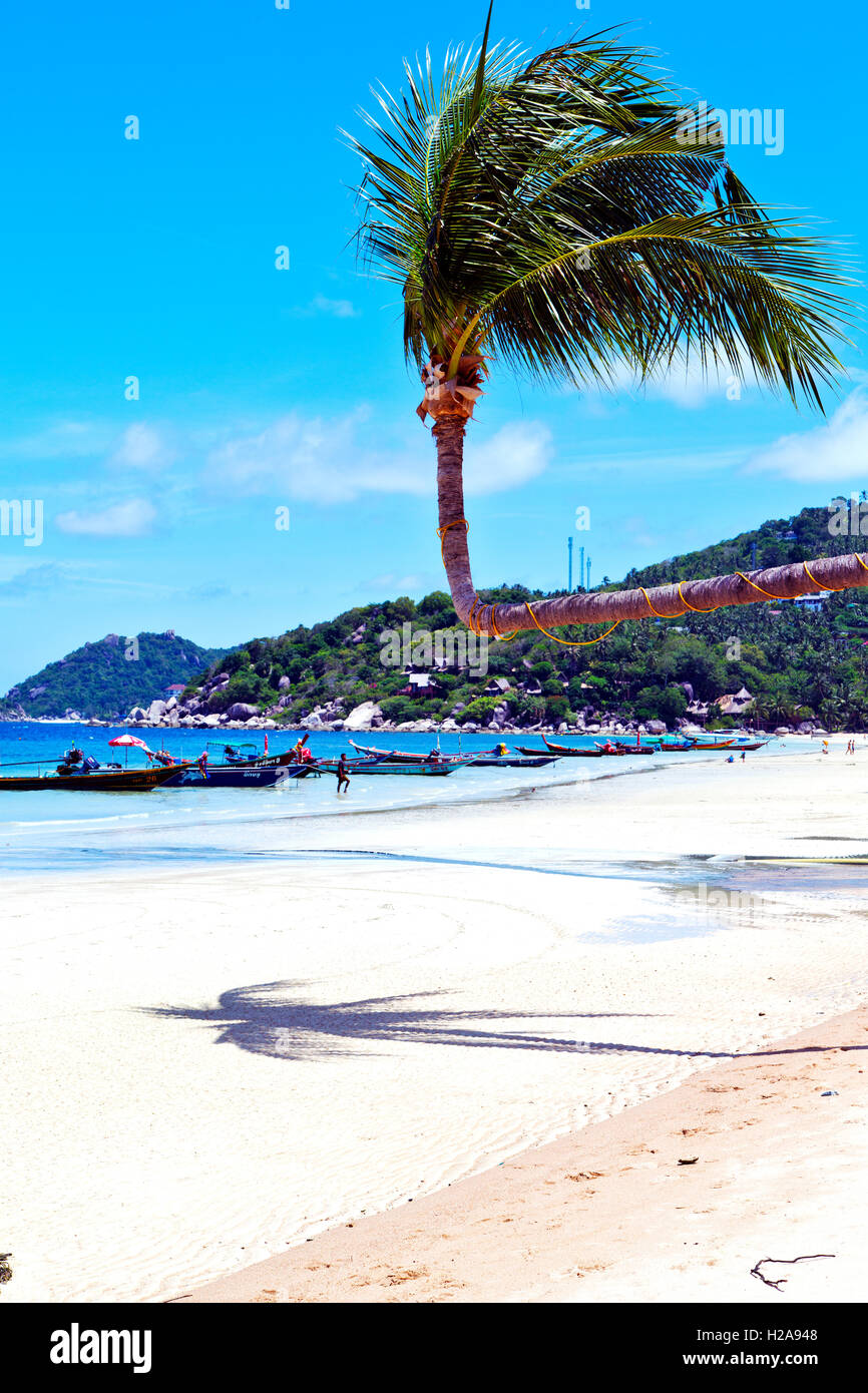in kho tao thailand bay asia isle beach rocks pirogue palm and south ...