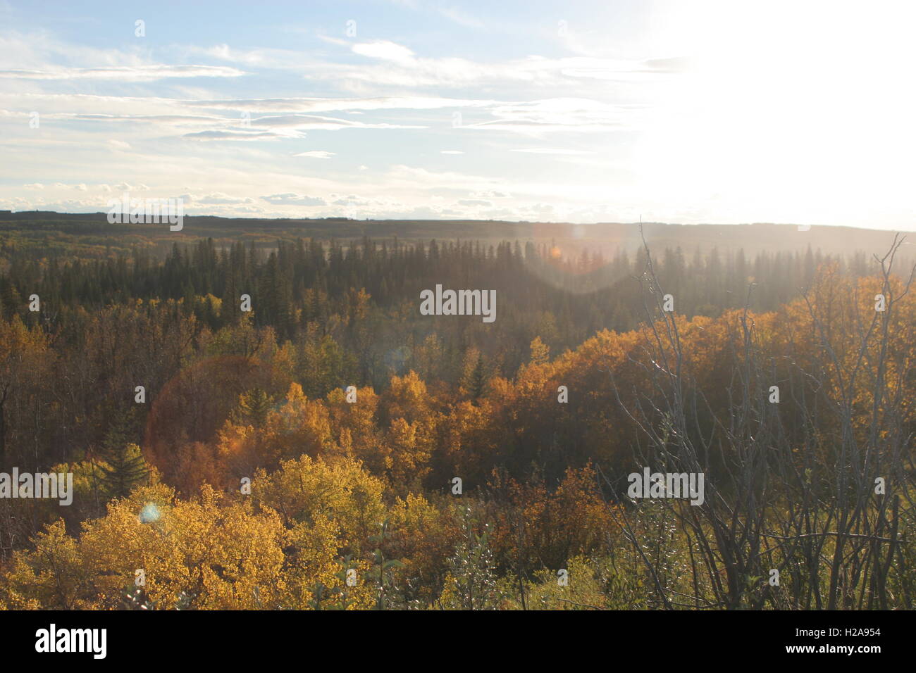 Weaselhead provincial park in Calgary, Alberta. Taken with Cannon EOS ...