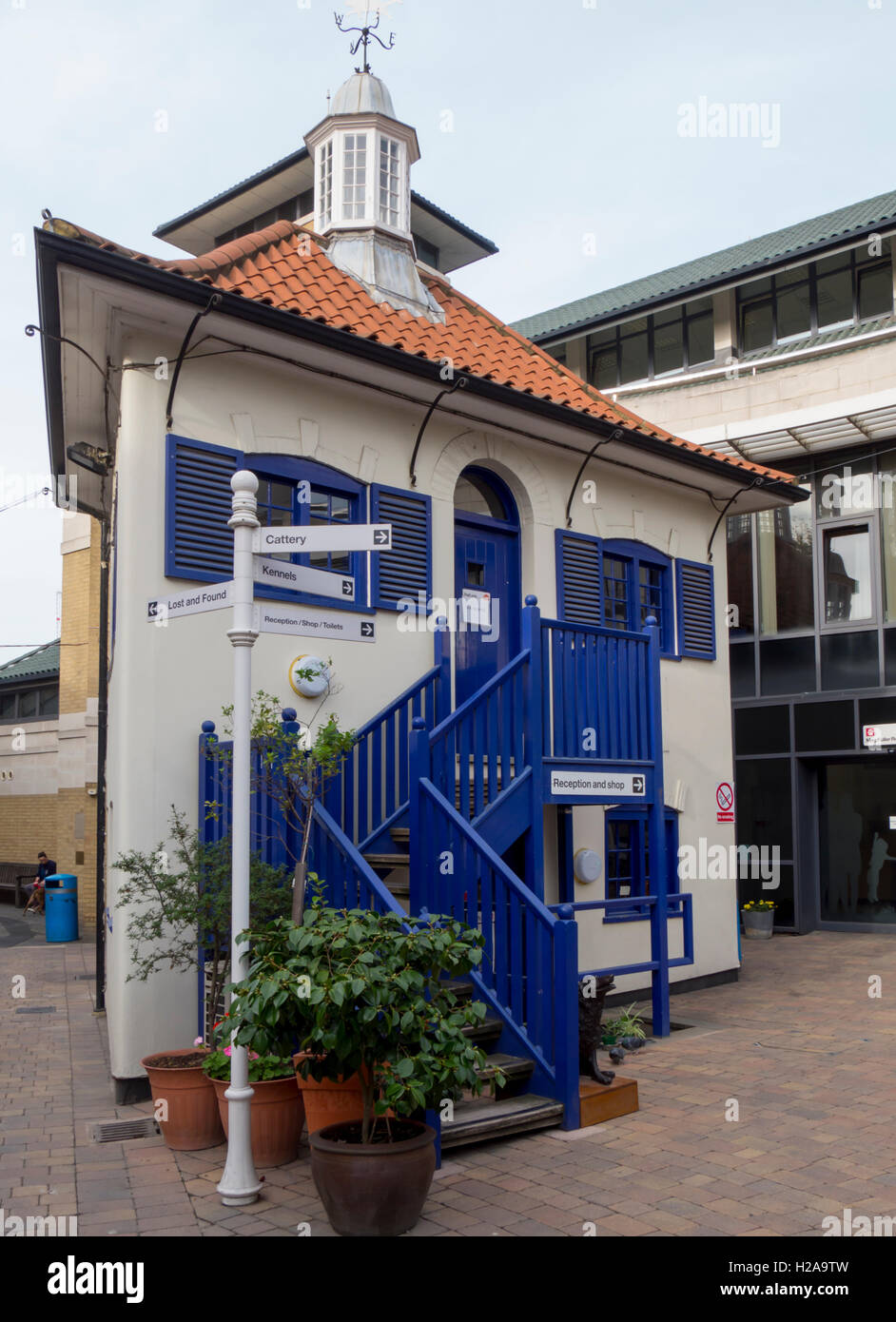 UK, england, London, Battersea Dogs home Stock Photo - Alamy