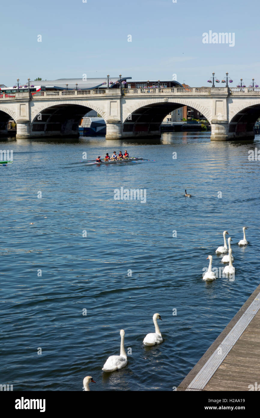 Follow my leader hi-res stock photography and images - Alamy